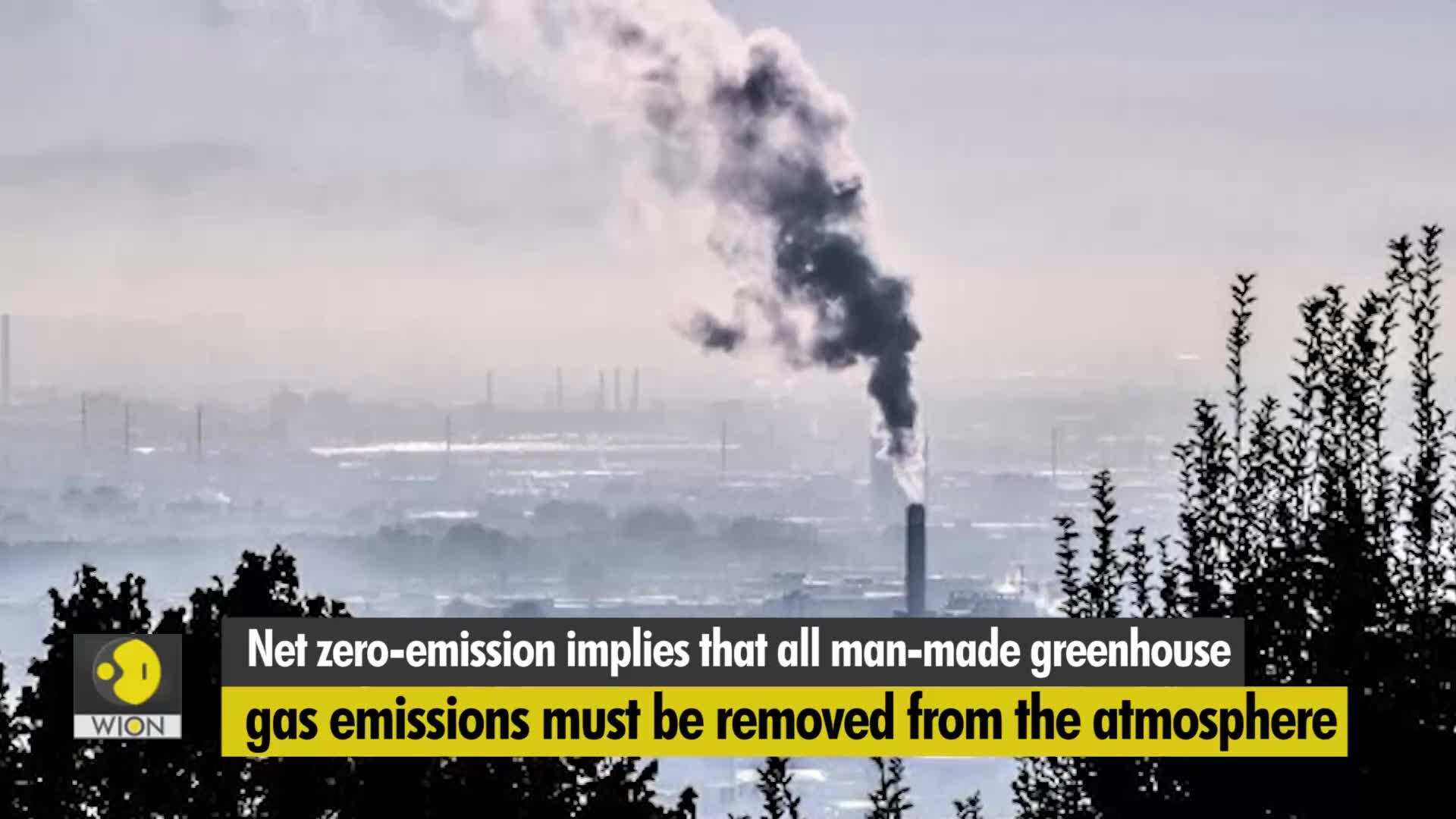 What is 'Net Zero Emission? - World News