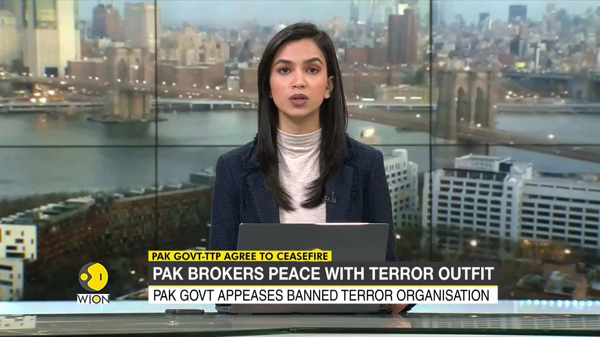 Pakistan government, banned group TTP agree on month-long ceasefire ...