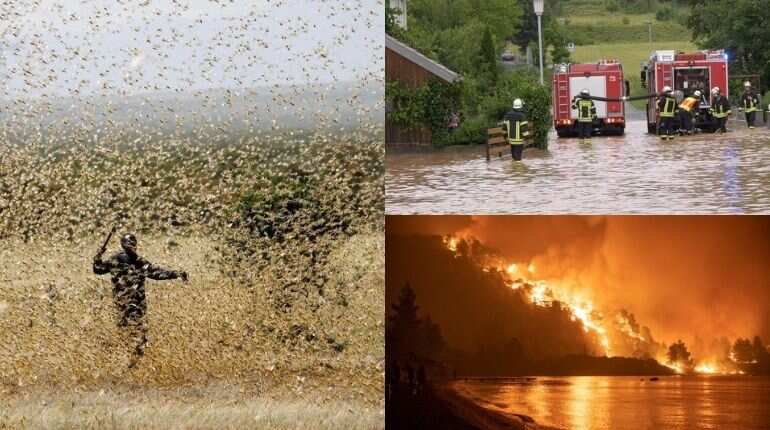 Fires, floods, flying insects: Climate-fuelled disasters that wreaked ...