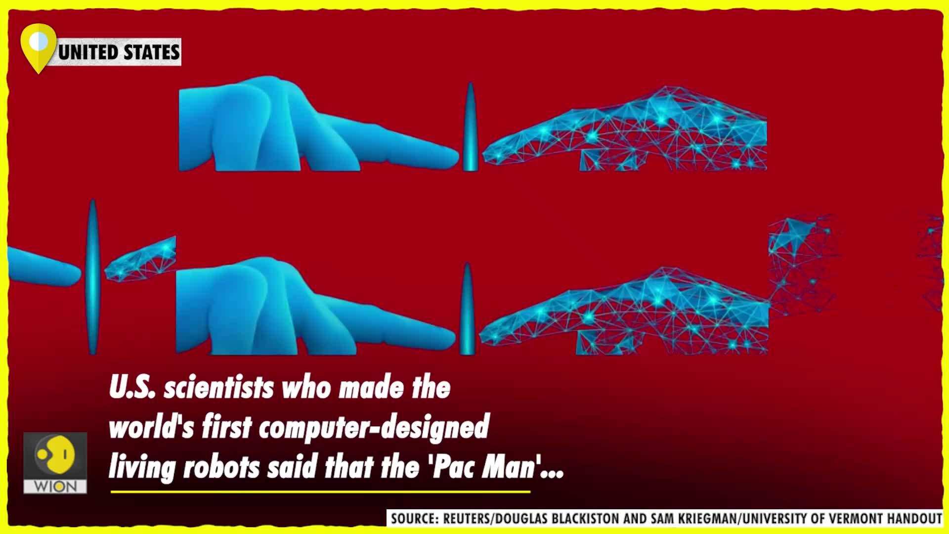 Xenobots represent new form of biological reproduction - Edge News