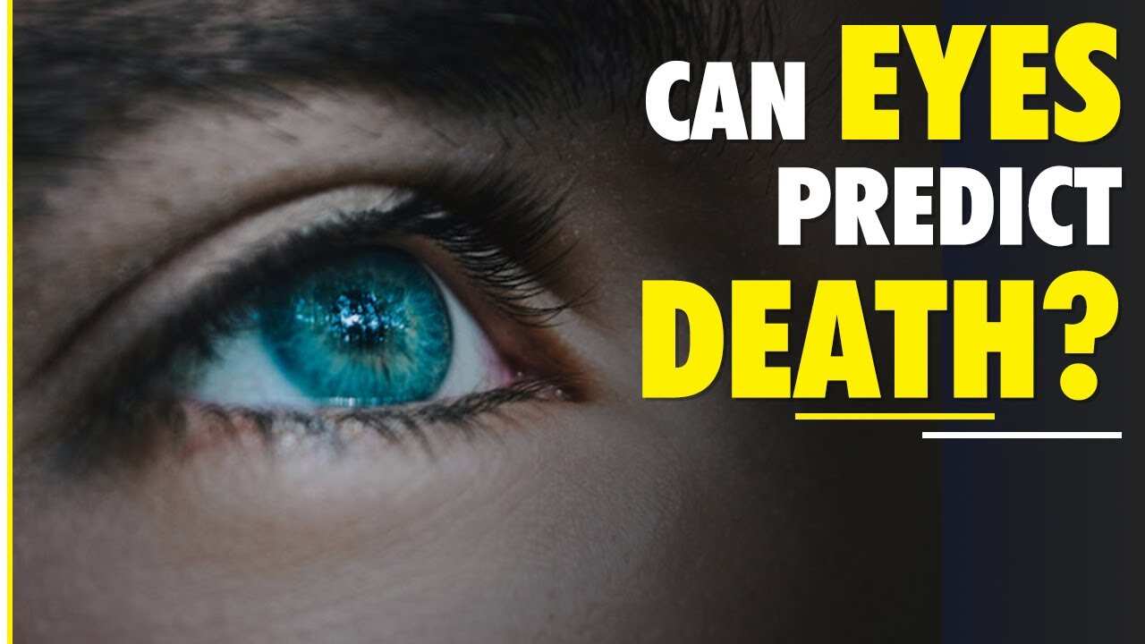 Can your eyes predict risk of early death? Study reveals - World News
