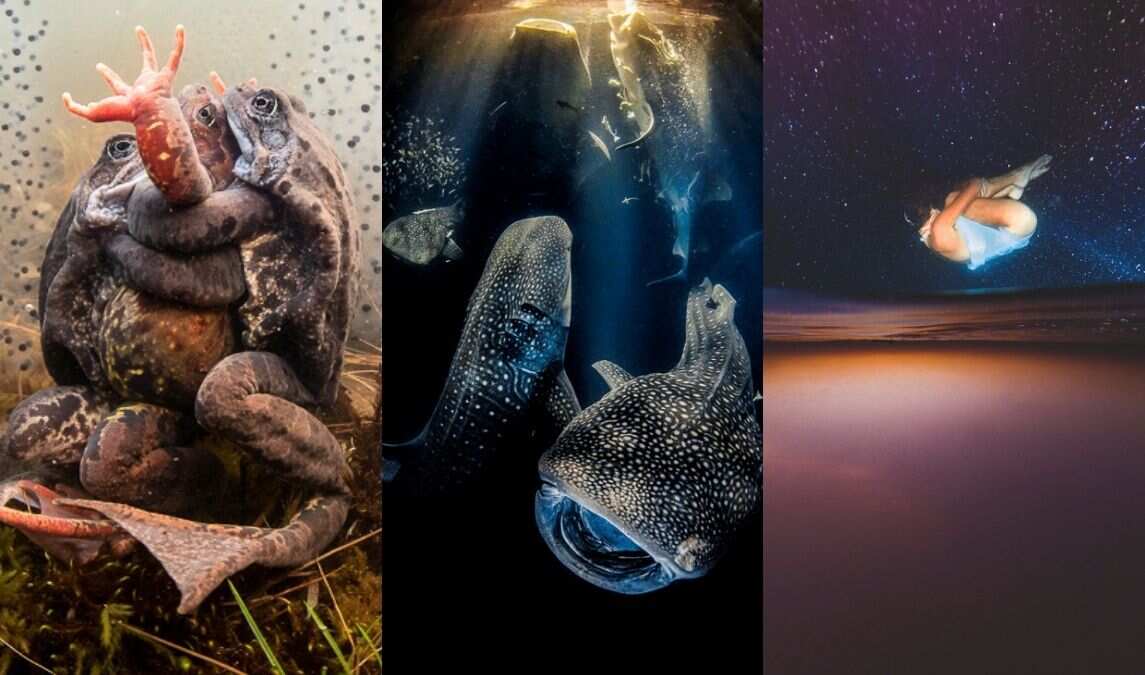 Breath-taking images of 'amazing ocean spectacles'. Check out winners ...