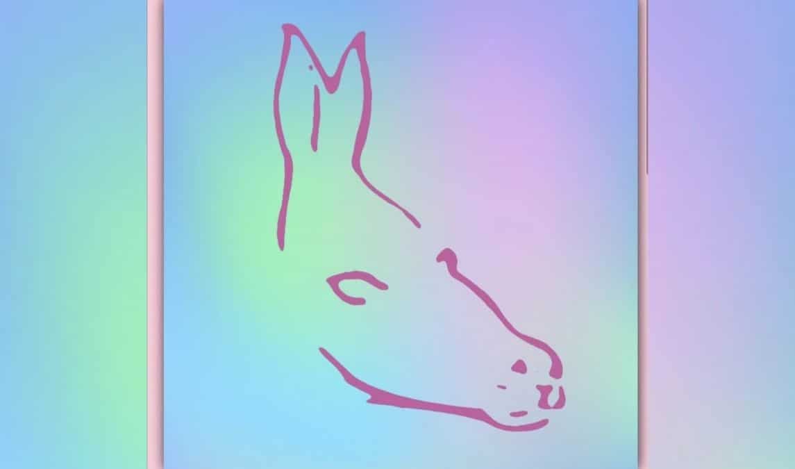Fish, donkey, mermaid or seal? What do you see in this picture ...