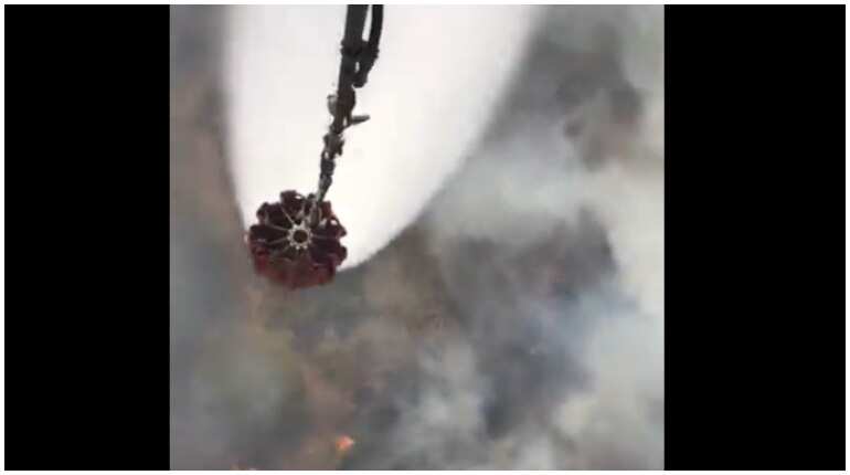 Indian Air Force called to battle massive fire in Sariska Tiger Reserve ...