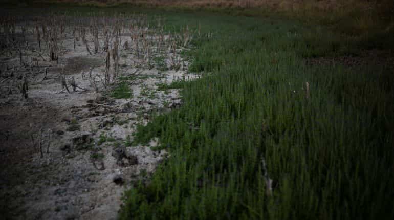 As record-breaking drought enters its 13th year, Chile announces ...