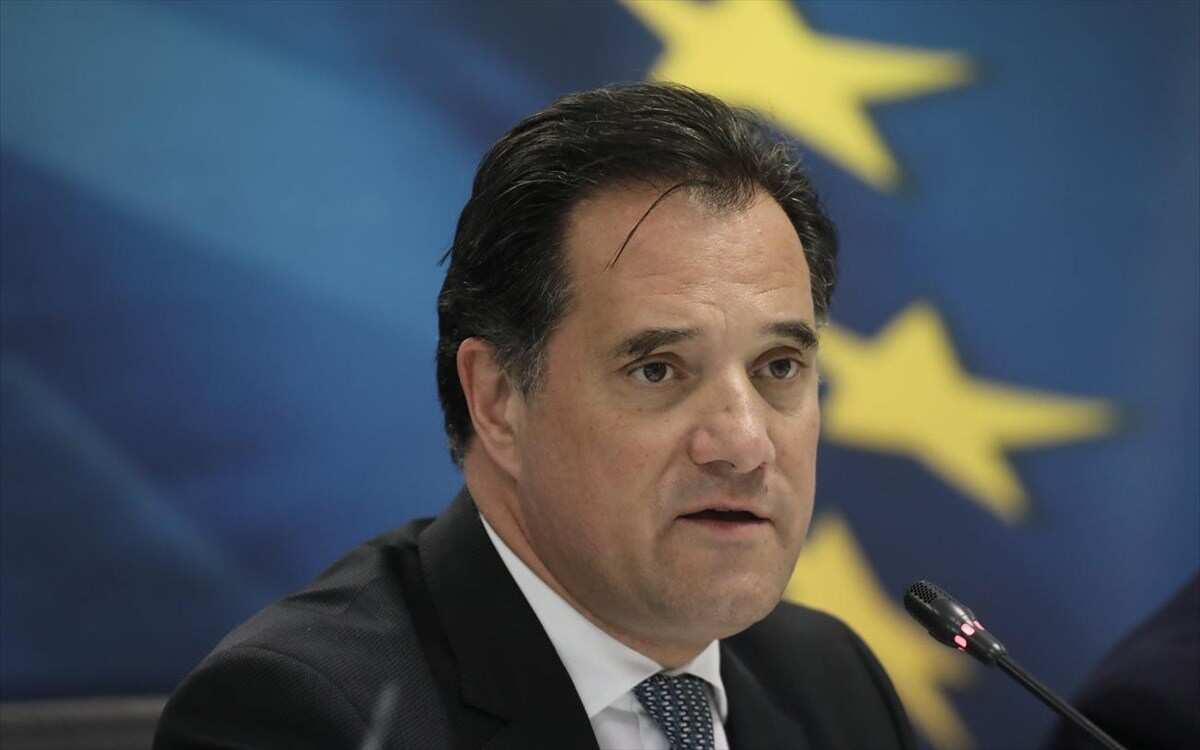 Future between Greece and India seems bright: Adonis Georgiadis, Greece ...