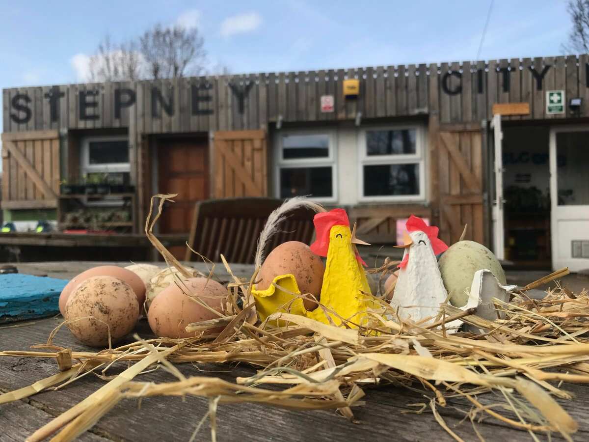 Easter holiday at a farm, children visit farms to see newborn animals ...