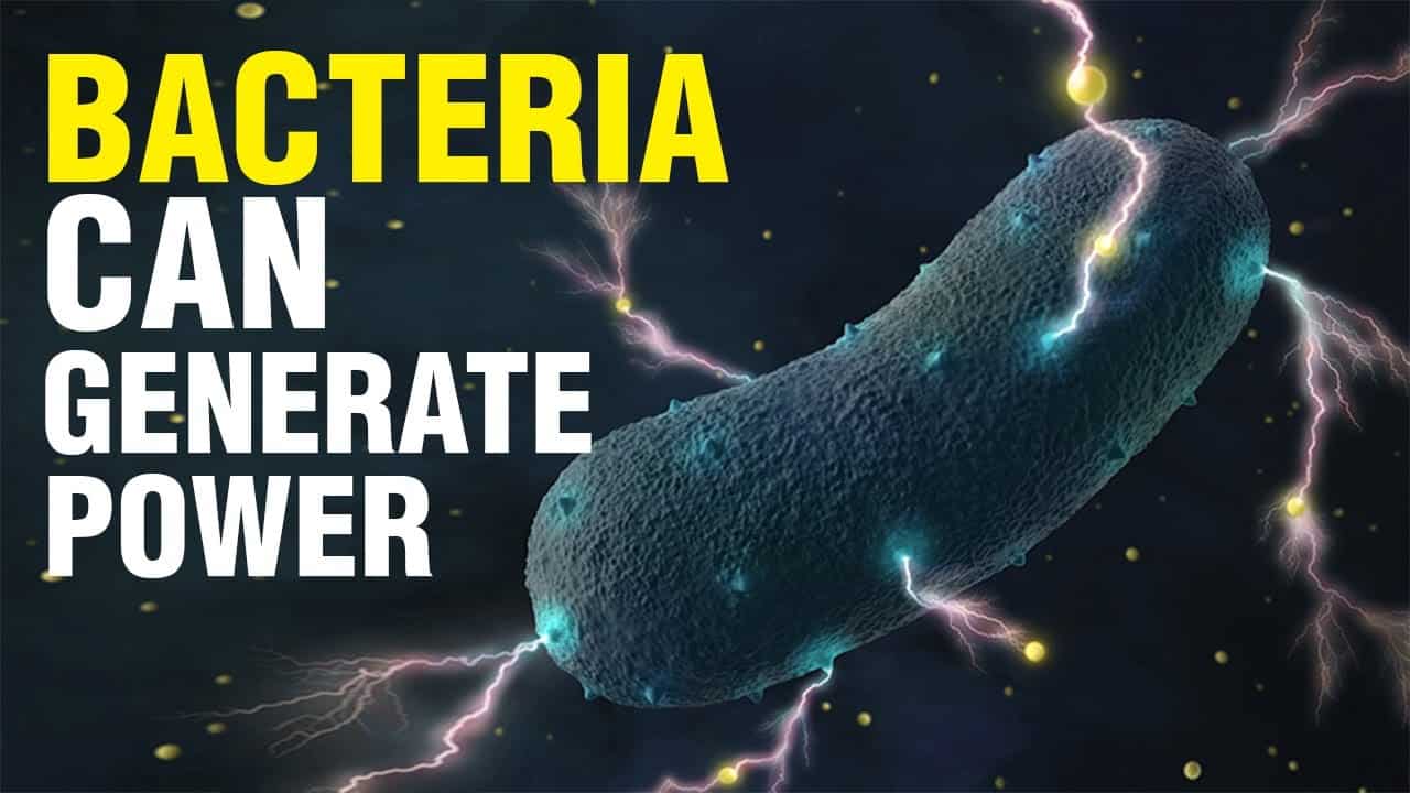 Methane-consuming bacteria can generate power - World News
