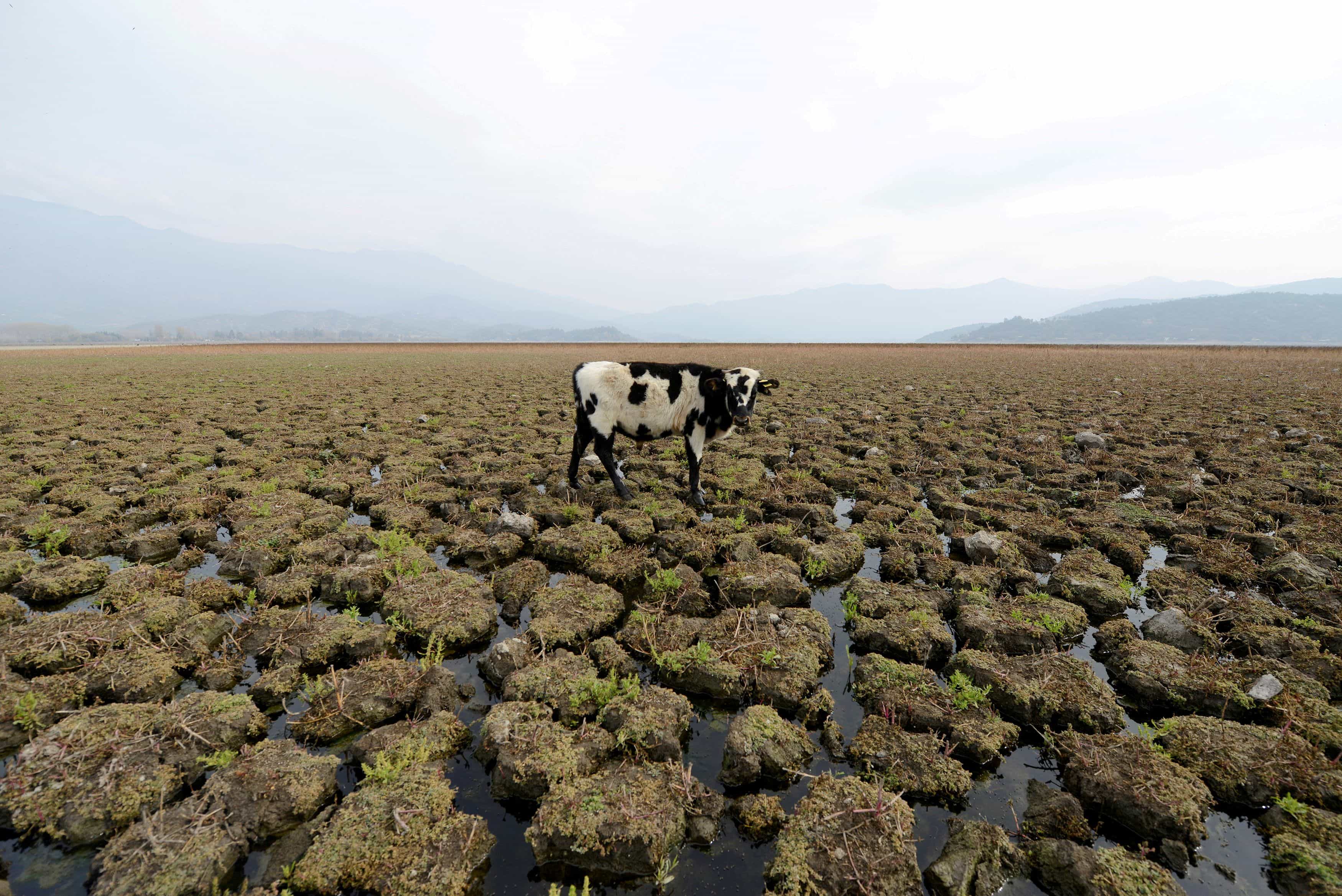 Climate change causes extended drought as Chile faces its worst drought ...
