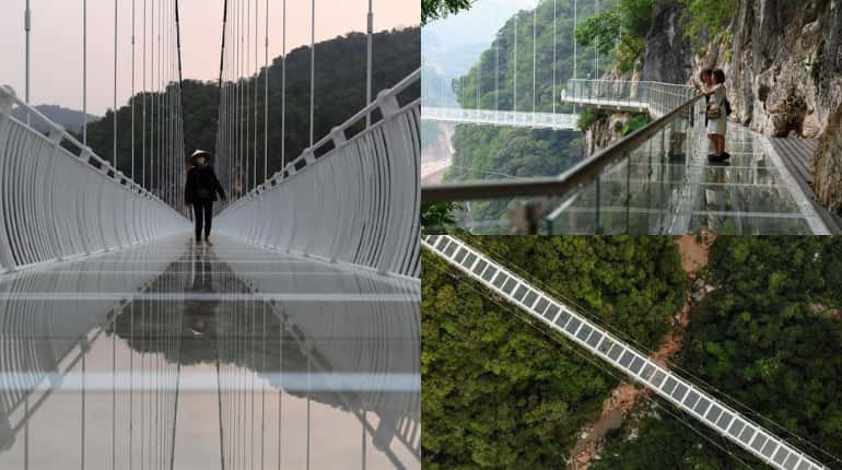 Don't look down! Marvelous glass-bottomed bridge opens in Vietnam ...