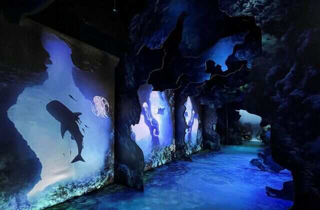 Immersive environmental art exhibit in New York shows impact of climate ...