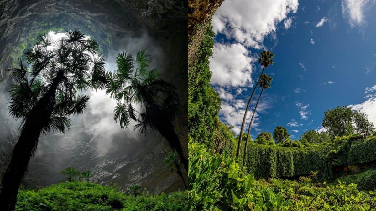 In Pics: What's inside this 630 feet heavenly pit in China? A lush ...