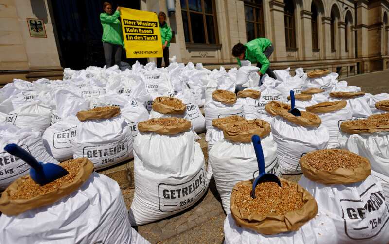 Ukraine grain production to drop 40 per cent over Russian invasion ...