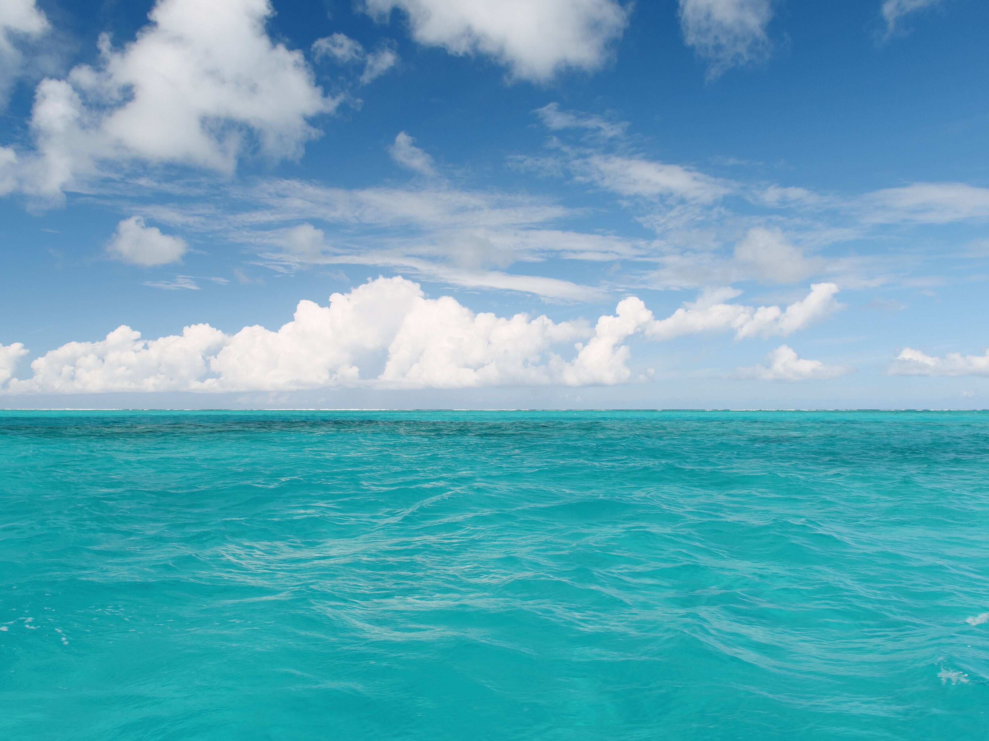 World Oceans Day: Creating awareness for saving oceans - World News