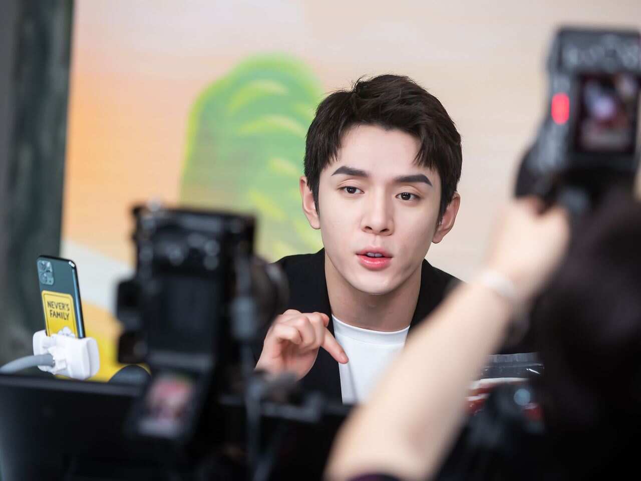 Did China silence Austin Li Jiaqi, a social media influencer over an ...