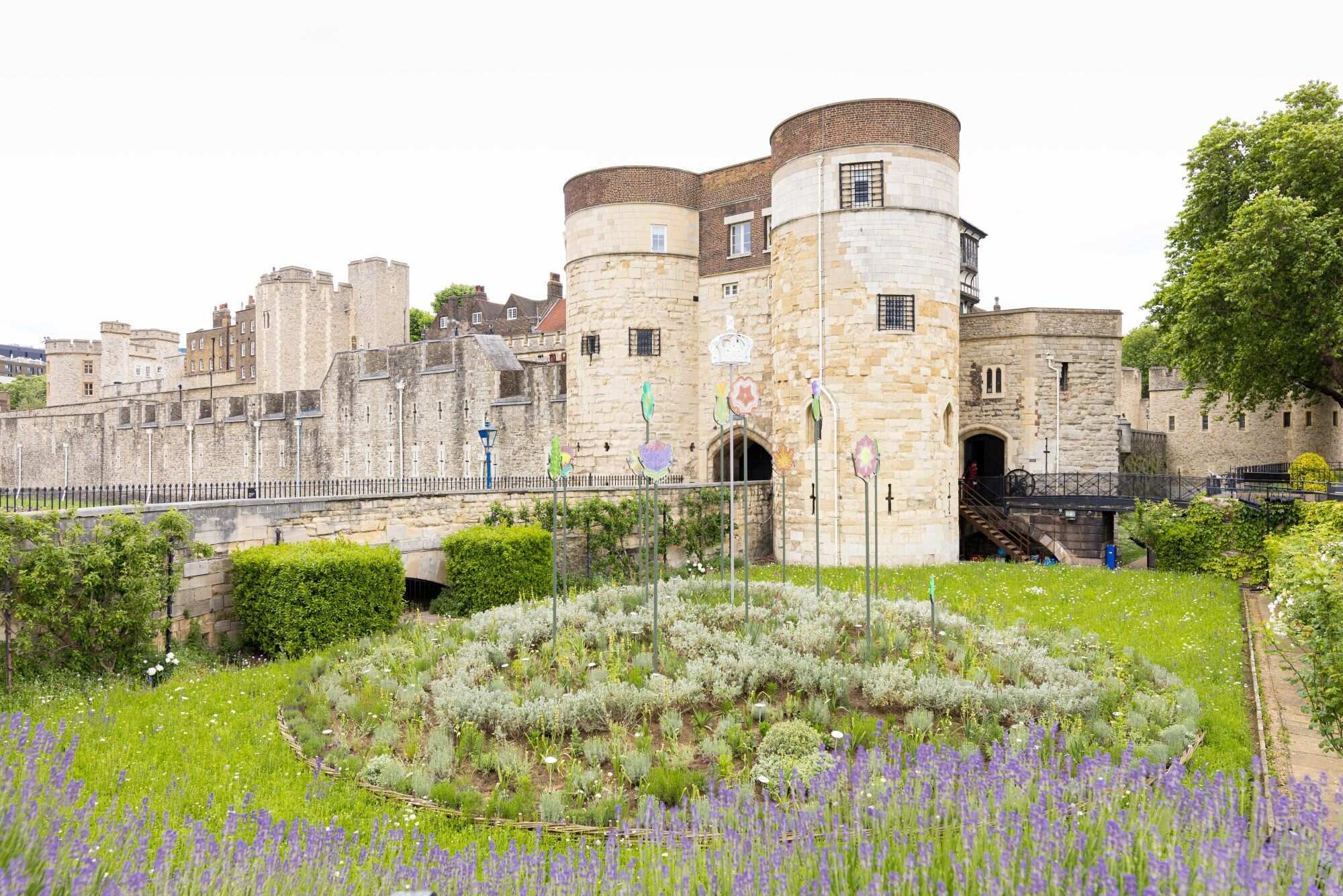 Jubilee flower meadow finally blooms - World News