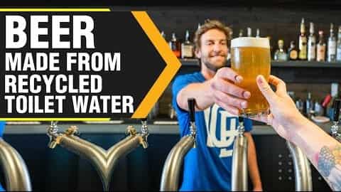 What is ‘NewBrew’? A beer made from urine - Edge News