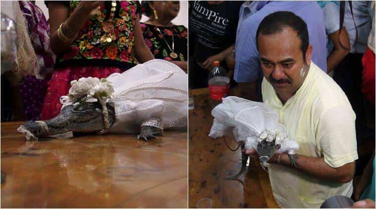 Mexican mayor marries his alligator bride in a ritual - World News