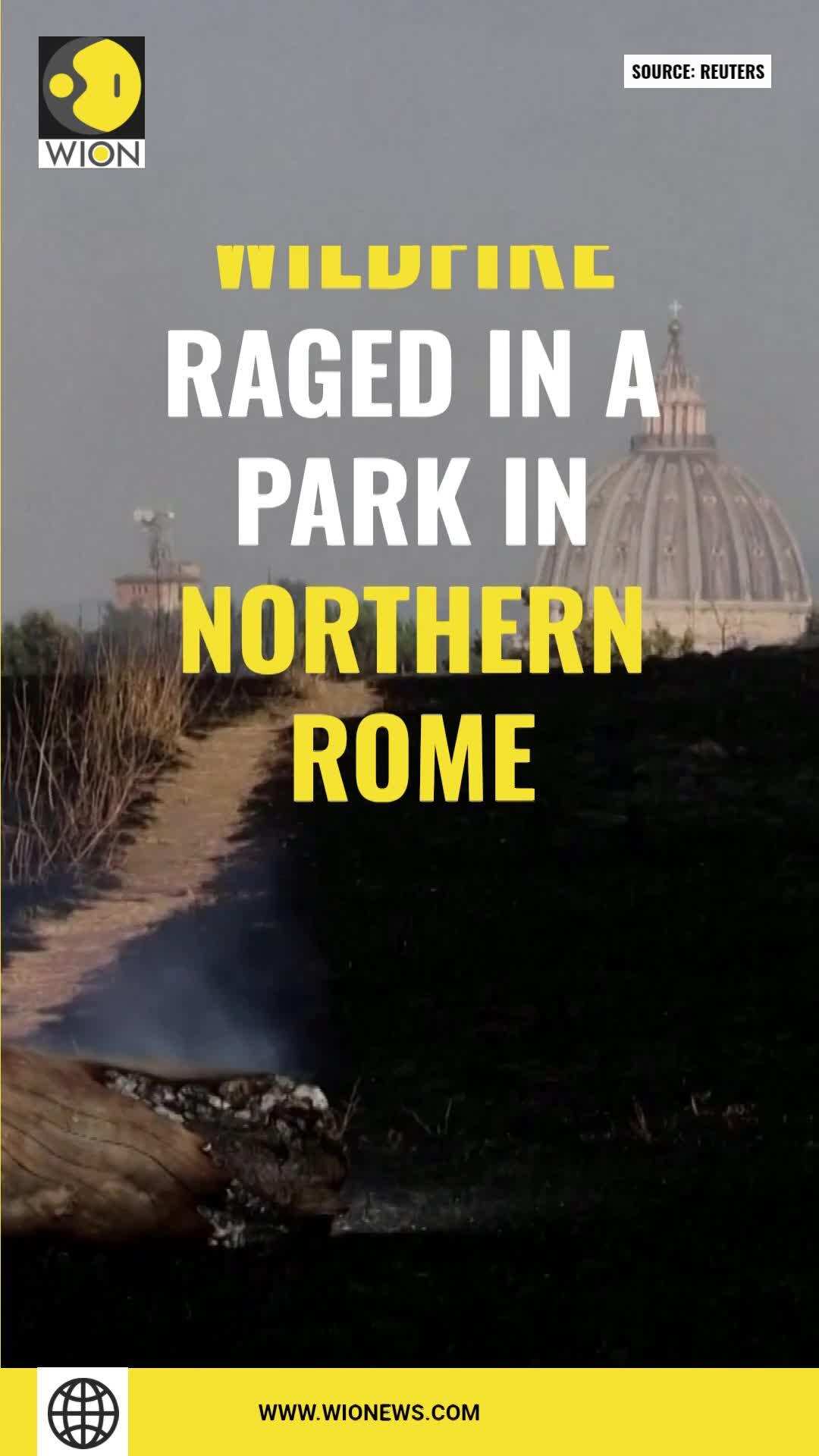 Wildfire hits Rome: Smoke rise above Vatican - World News