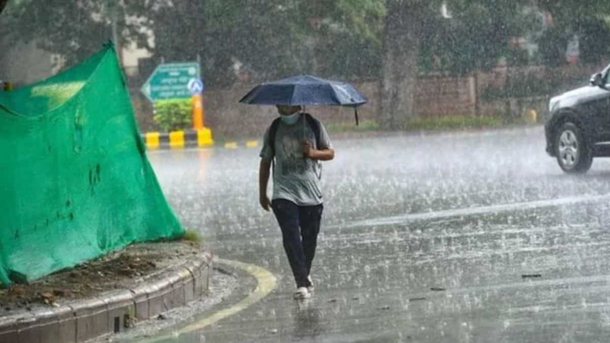 Weather updates today (July 11): Know about weather conditions in ...