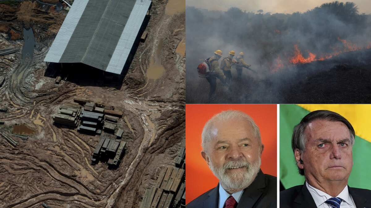 Causes and consequences of Amazon fires and deforestation - World News