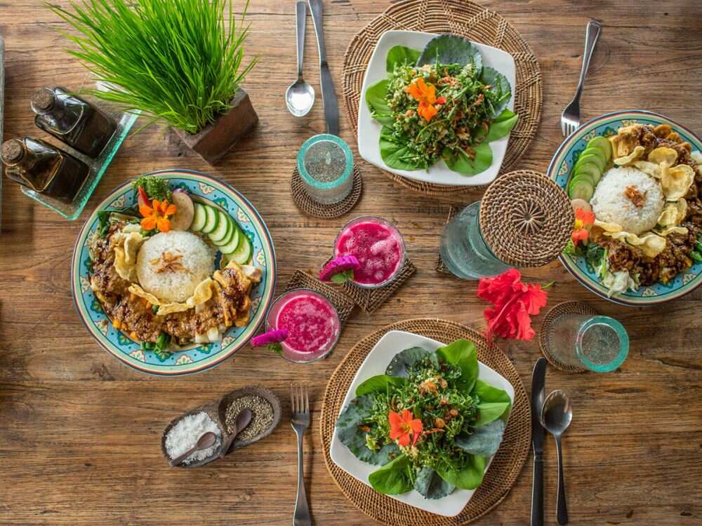 WION Climate Tracker | UK restaurant aims to be environment friendly ...