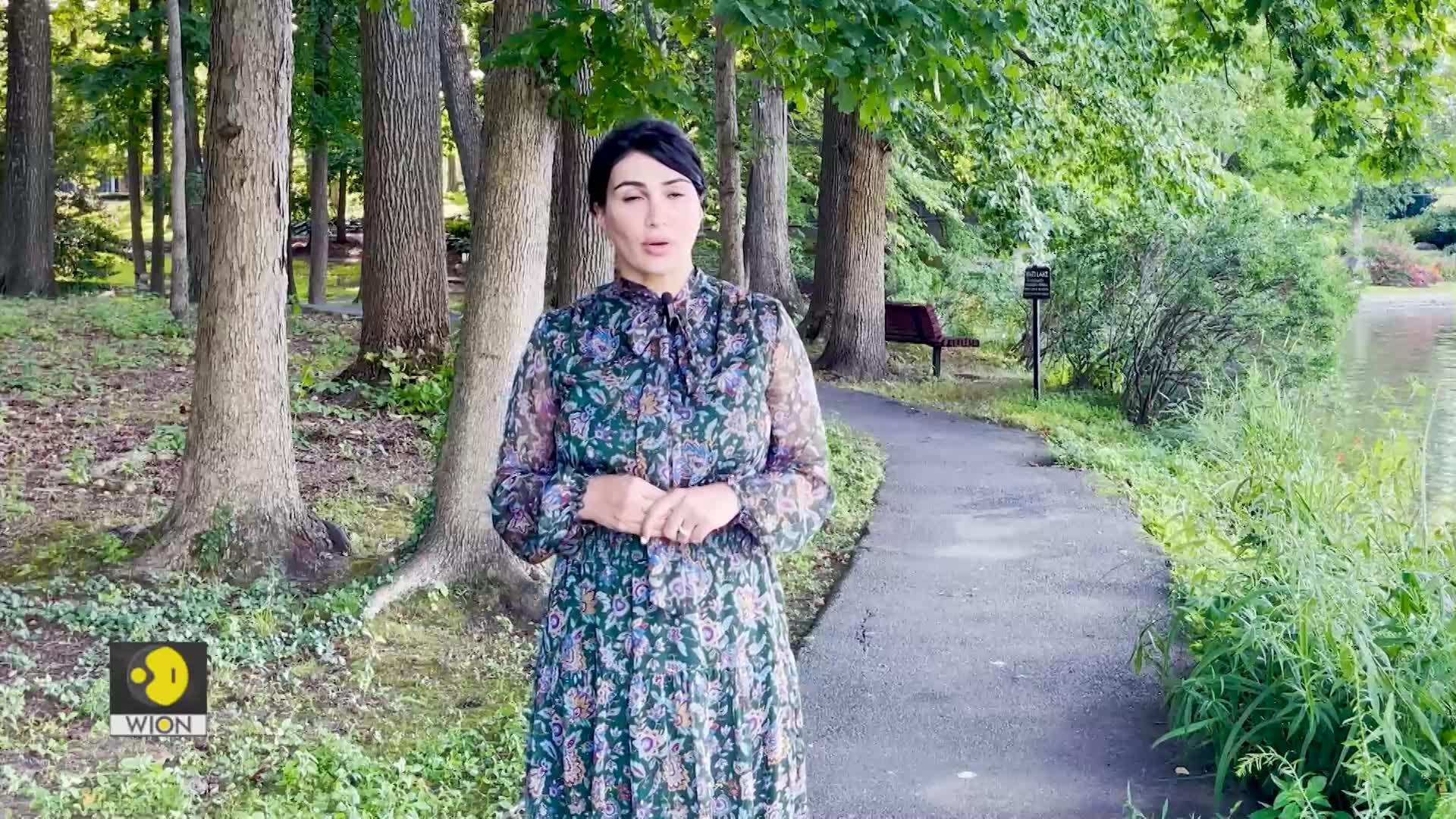 South Asia Diary: Afghan refugees struggle to rebuild their lives ...