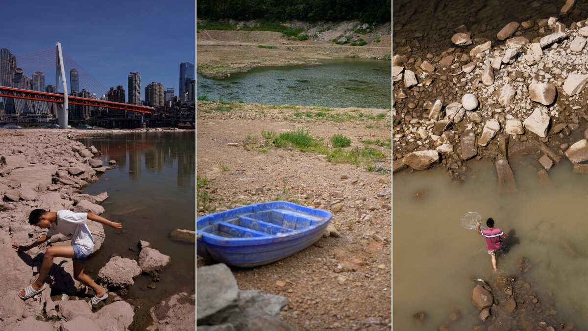 Drought in China: Rivers and lakes dry up; farmers struggle as ...