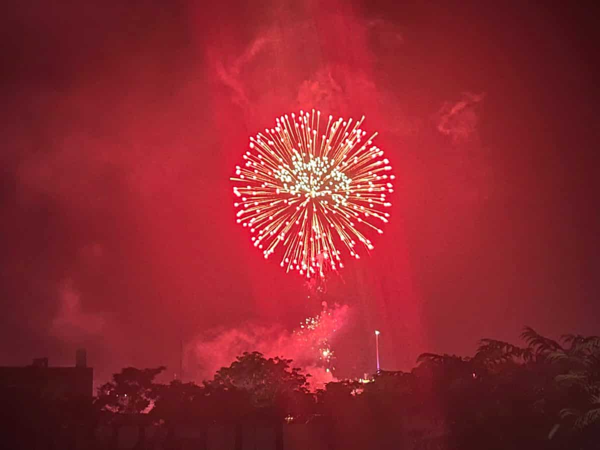 Watch: Fireworks in Kabul to celebrate first anniversary of US ...