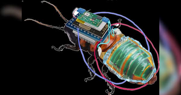 Tech Talk: Japanese scientists unveil remote-controlled Cockroaches ...