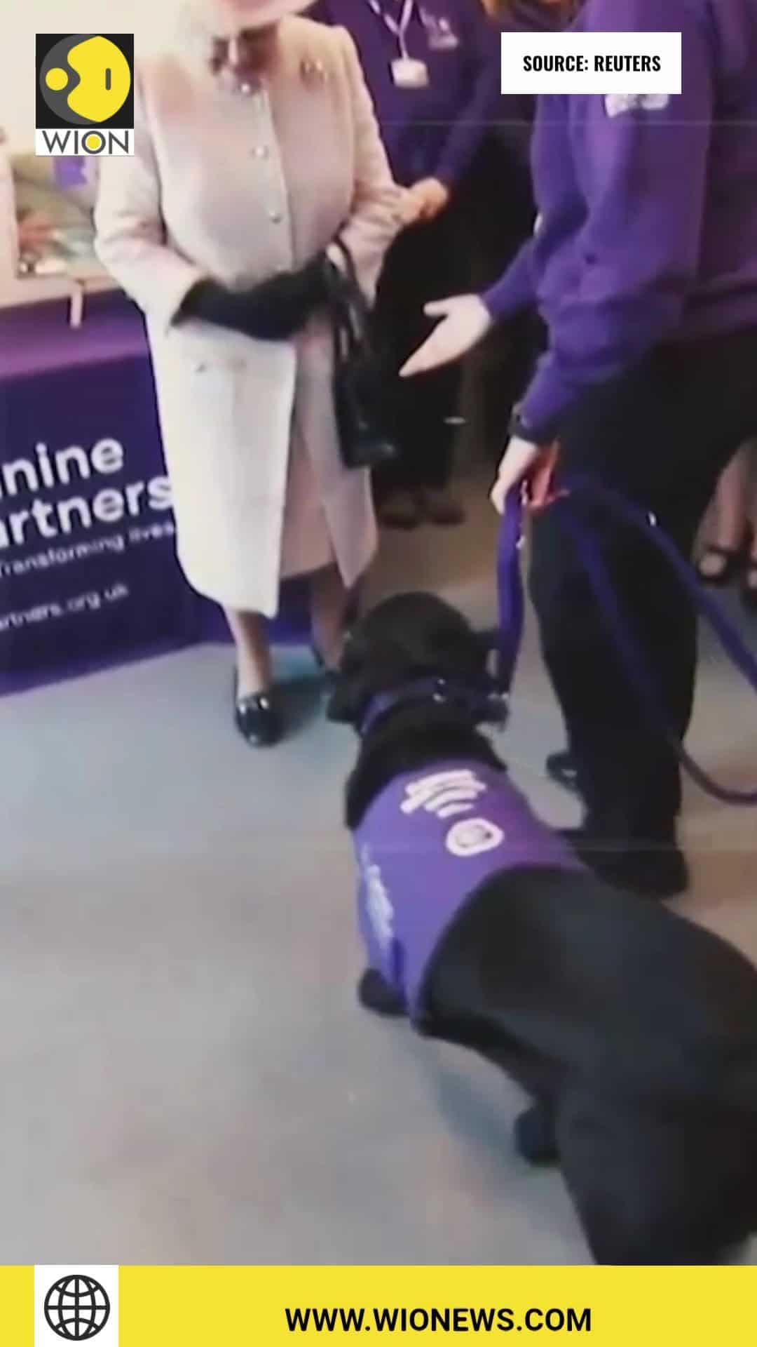 A look at late Queen Elizabeth II and her love for animals - Edge News