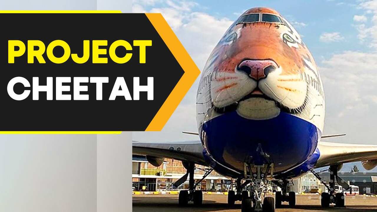 What is Project Cheetah and how is it significant to India? - Edge News