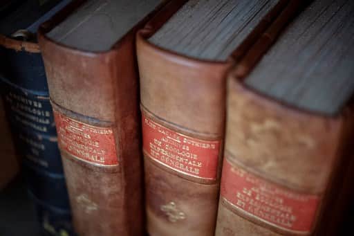 New Zealand all set to pass a new language bill to enhance 'public ...