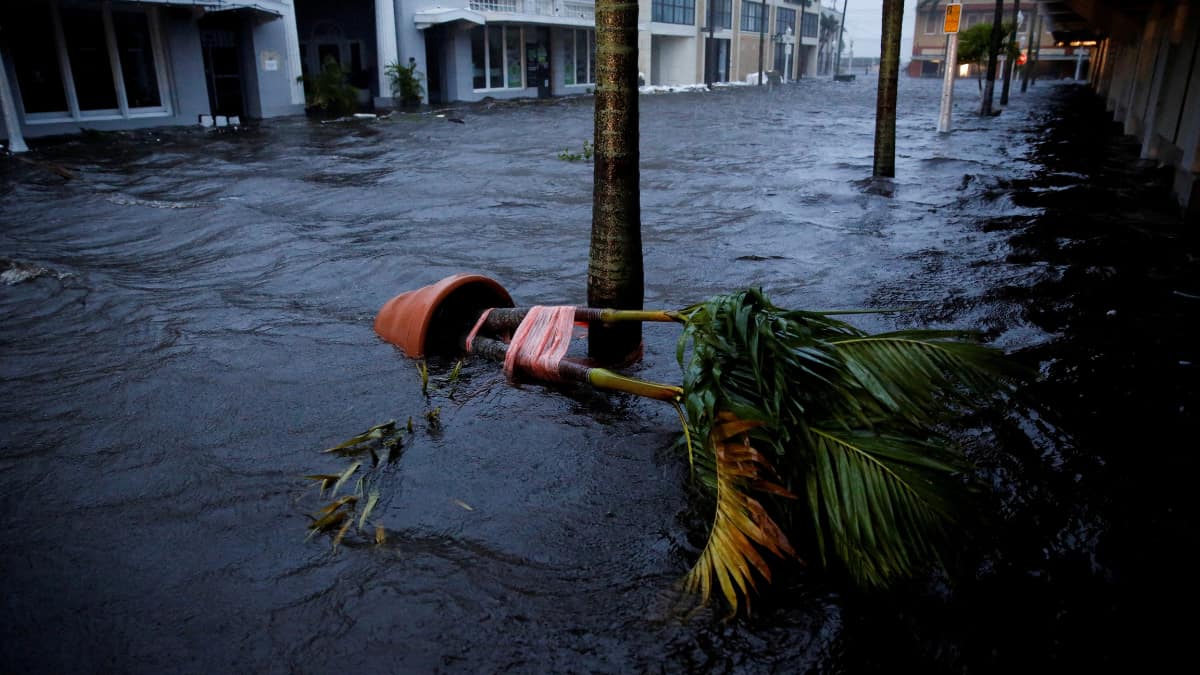 How hurricane categories forecast the scale of destruction - World News