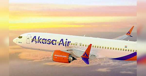 Beginning in November, Akasa Air to accept domesticated dogs and cats ...