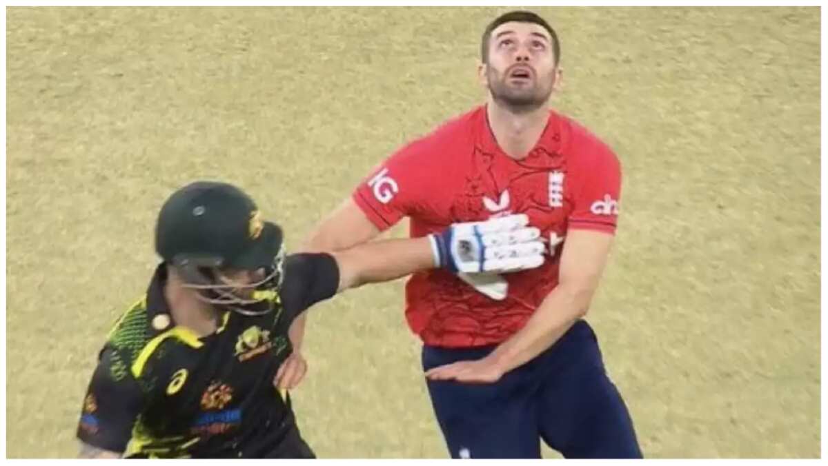 Matthew Wade blocks Mark Wood from taking a catch in Perth T20I ...