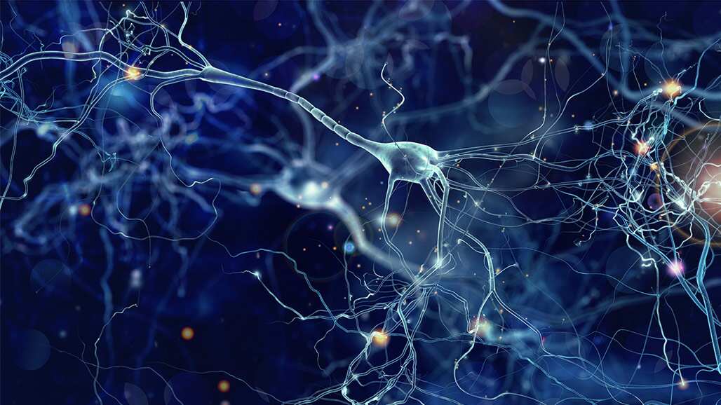WION Fineprint | Scientists teach neurons to play 'Pong' - SCIENCE ...