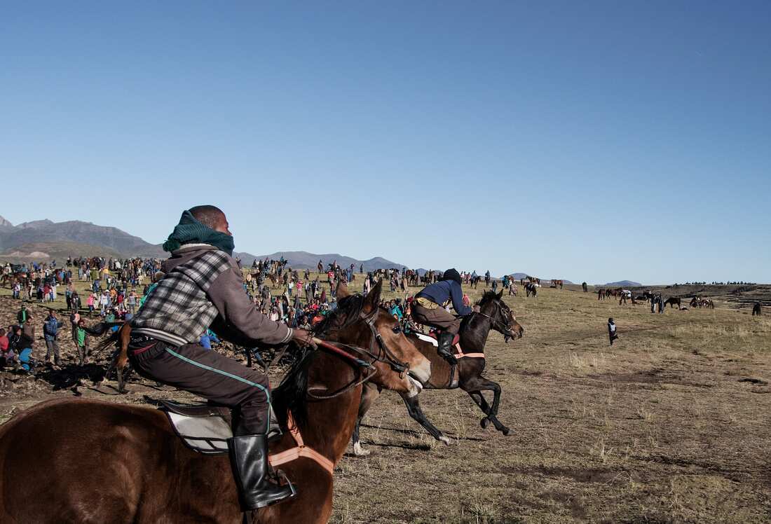 Africa's Lesotho's ponies and gambling: A century-old tradition - World ...