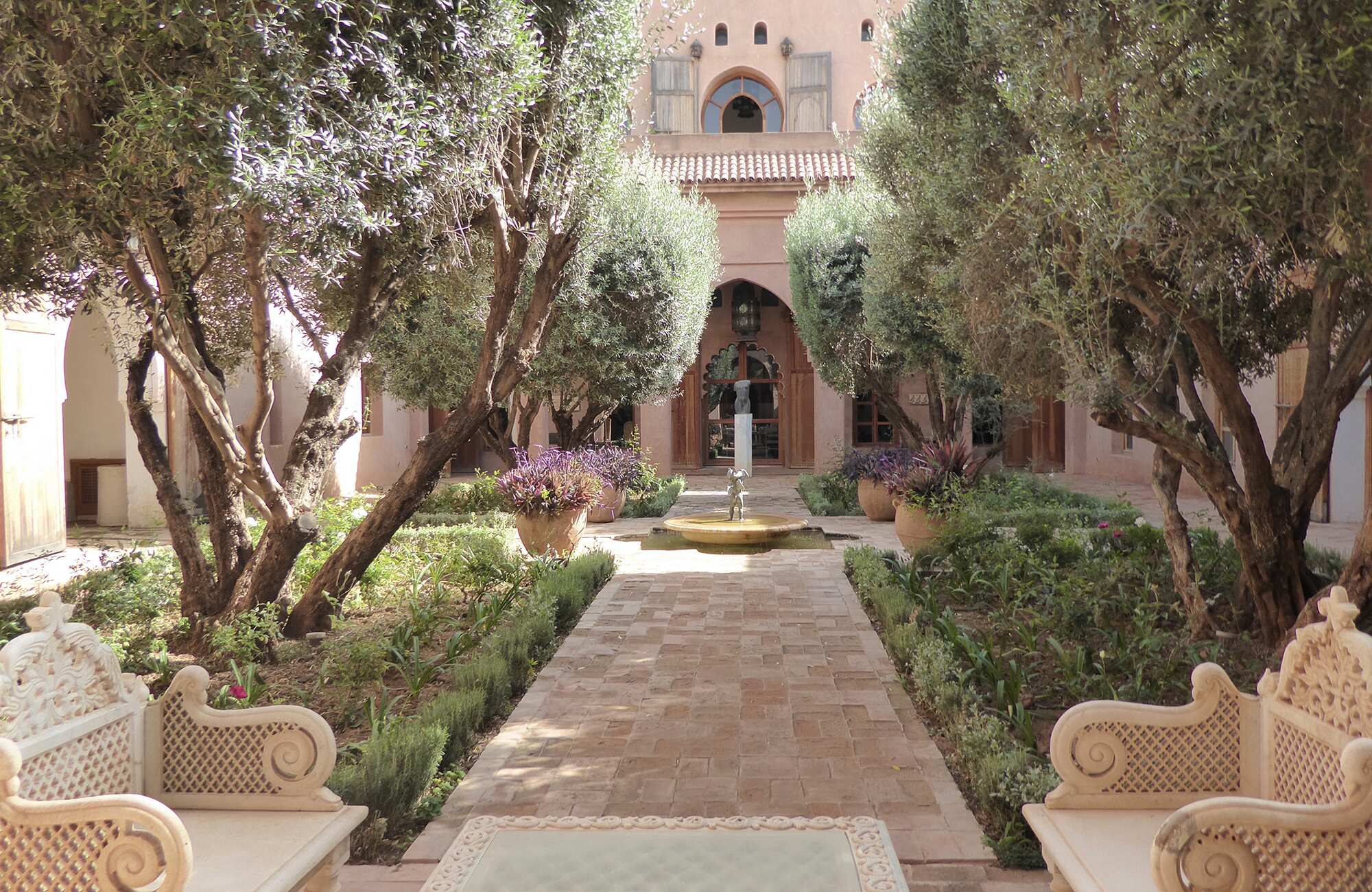 WION Climate Tracker: Garden of plants and artworks in Morocco - World News