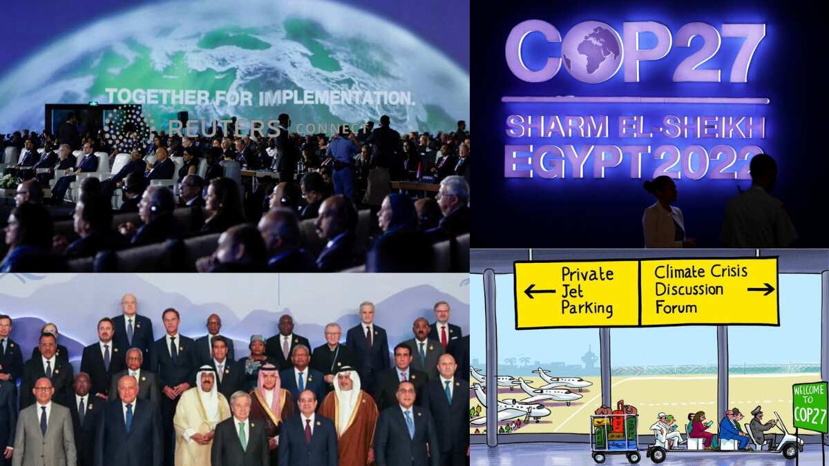 In Pics | Climate activists' protests amid and ahead of COP27 ...