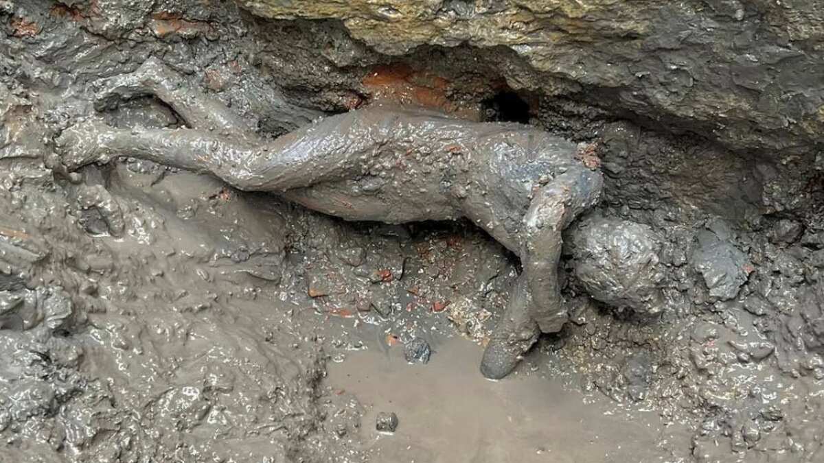 In pics: Italian archaeologists discover 24 beautifully preserved ...