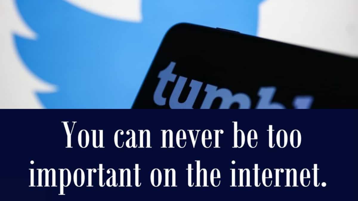 Tumblr trolls twitter by offering two checkmarks to its users ...