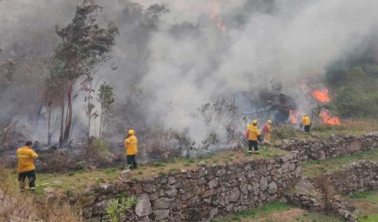 WION Climate Tracker | Peru: Wildfire kills at least 36 Vicunas - World ...