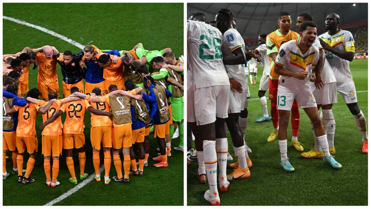 FIFA WC: Netherlands beat Qatar, Senegal go past Ecuador as both sides ...