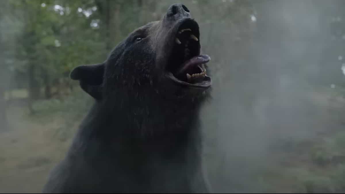 'Cocaine Bear' trailer: A cocaine-addled bear begins to murder people ...