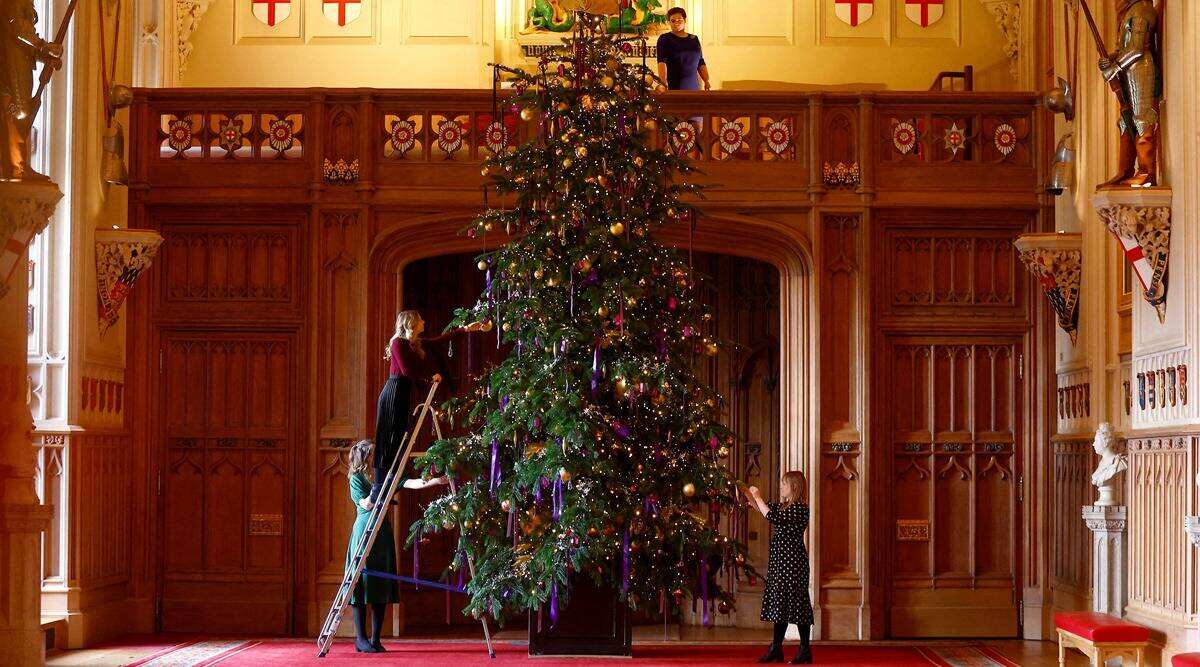 UK: King Charles' estate Windsor Castle showcases 20-foot-high Fir tree ...