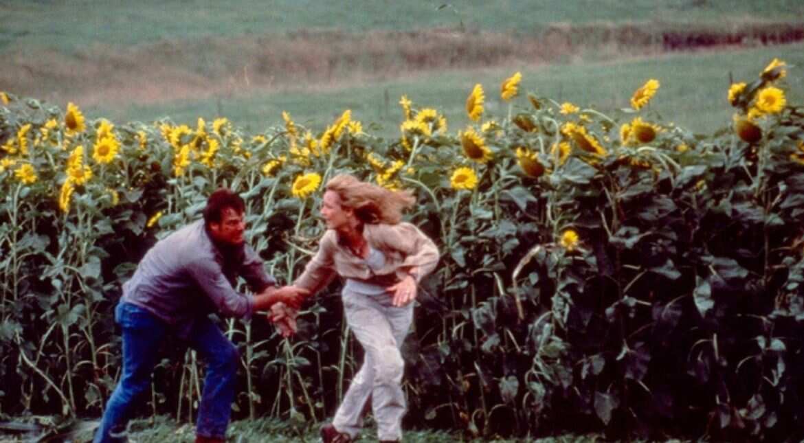 'Twister' sequel set for release in 2024 - Entertainment News