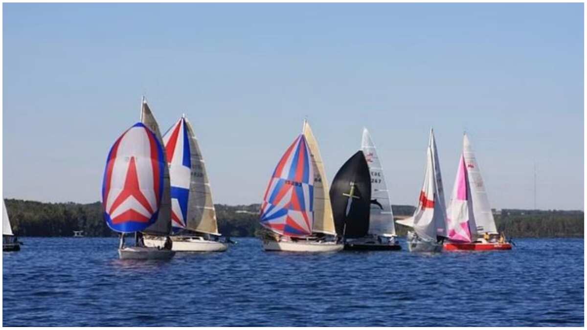 Andoo Comanche takes early lead in Sydney Hobart yacht race - Sports News