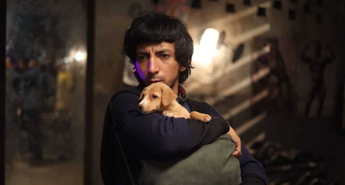 'Lakadbaggha' trailer out! The animal lover vigilante film looks ...