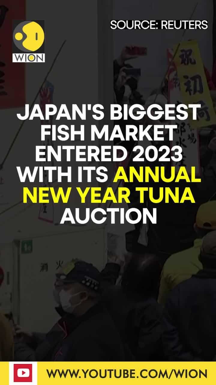 Japan tuna price soars past ₹ 2 crore at New Year auction - World News
